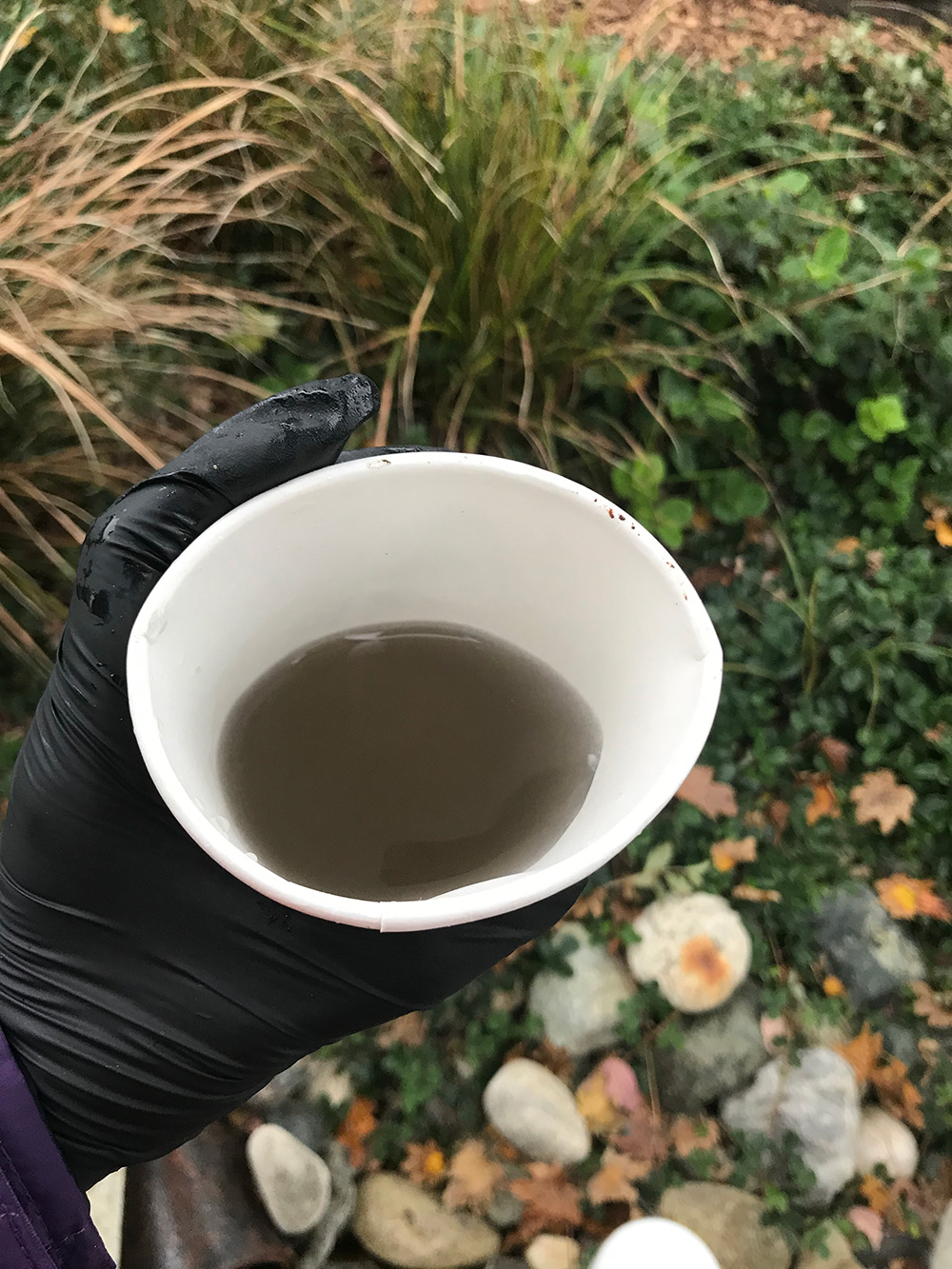 Clean Lake Union – We believe in a cleaner Lake Union for all.